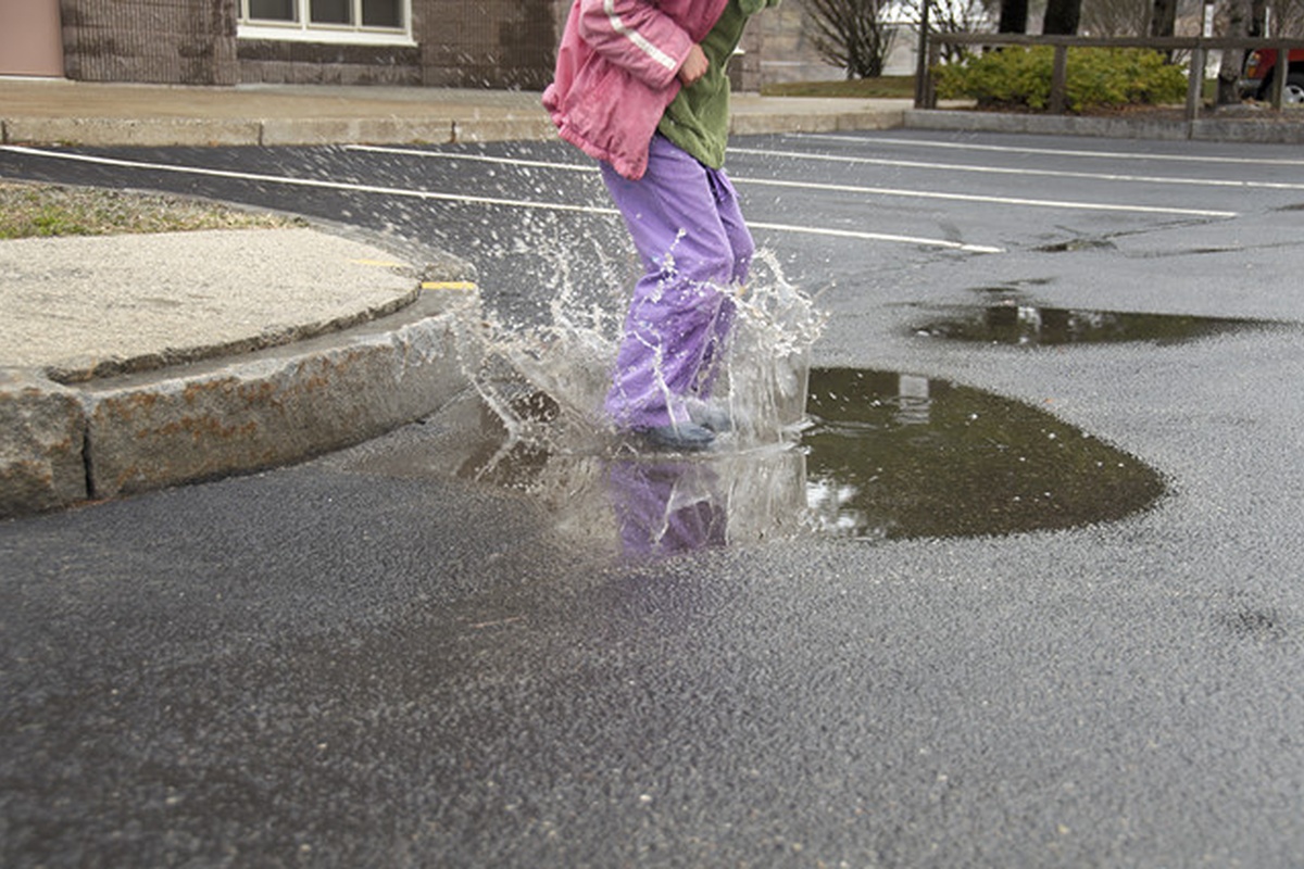 How high's the water Mama? | Renee Tougas