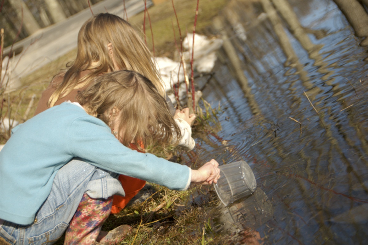 Pond study | Renee Tougas