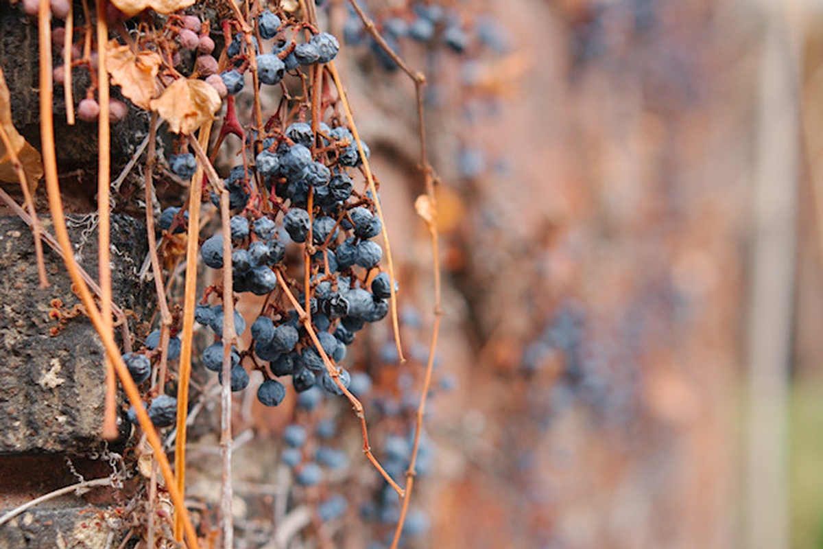 Forty | Renee Tougas